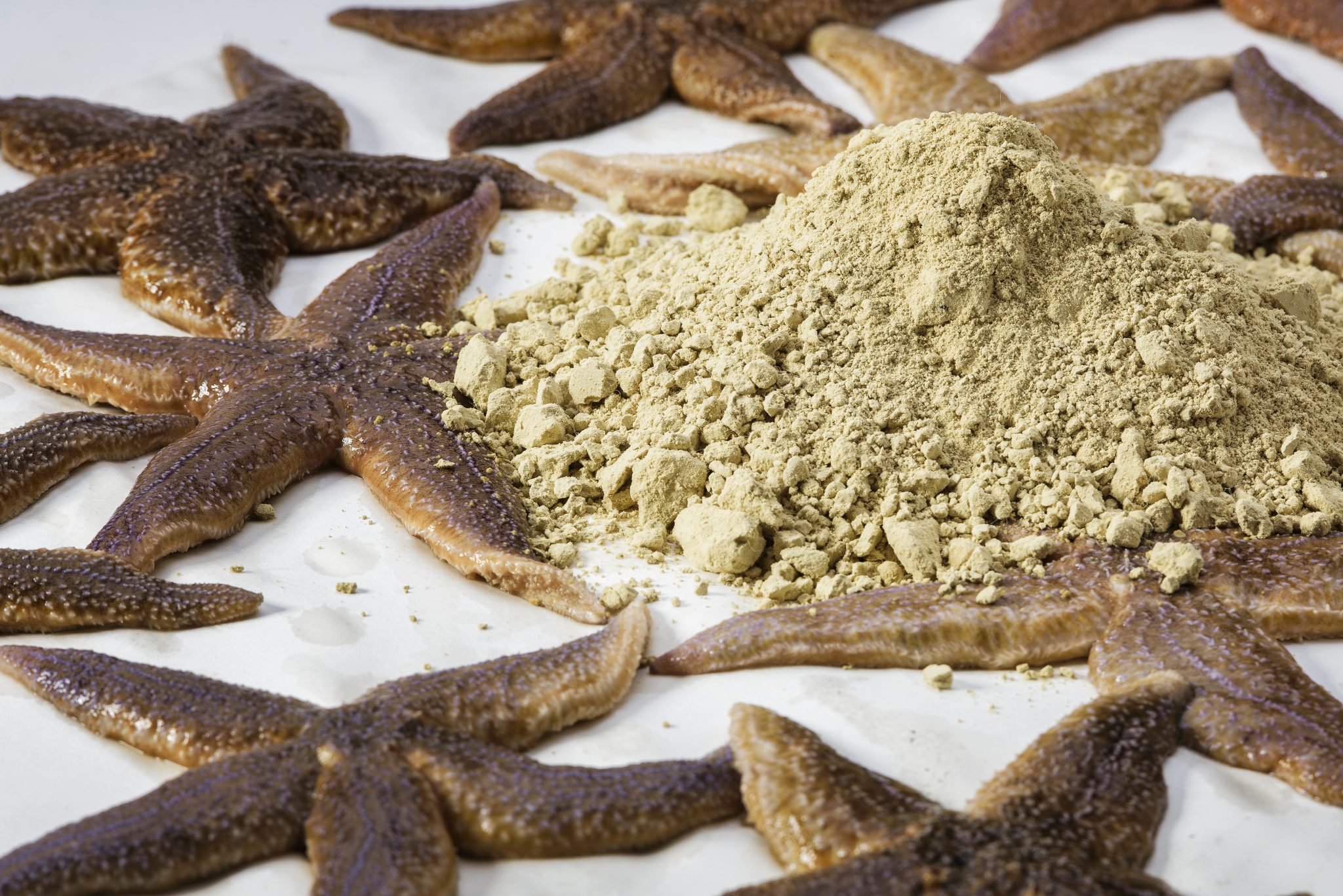 Starfish plant solves multiple challenges in both fishery and organic ...