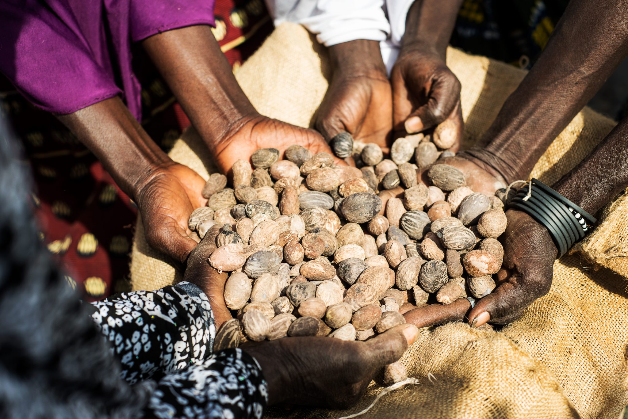 Sourcing shea responsibly in Western Africa