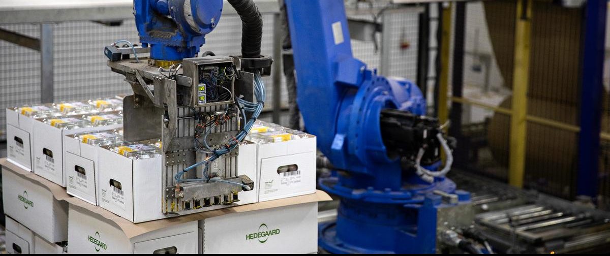 Robot gripper solves challenges in the food industry