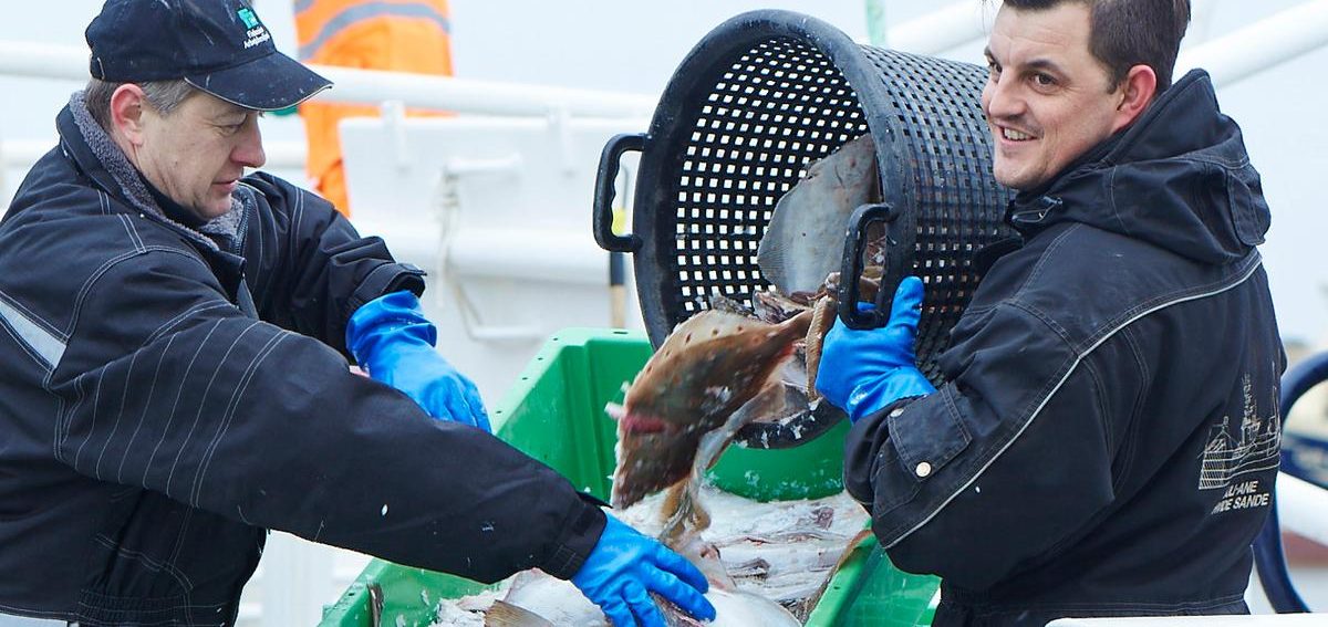 Denmark introduces state-controlled label for fish caught with respect ...
