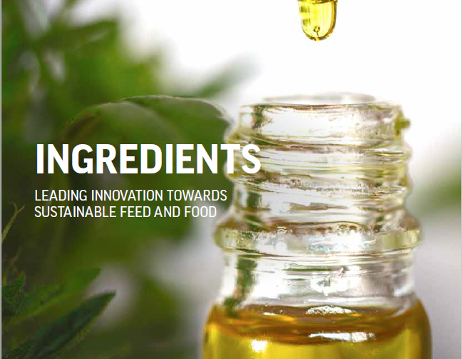 White Paper Ingredients Foodnation white-paper-ingredients-foodnation