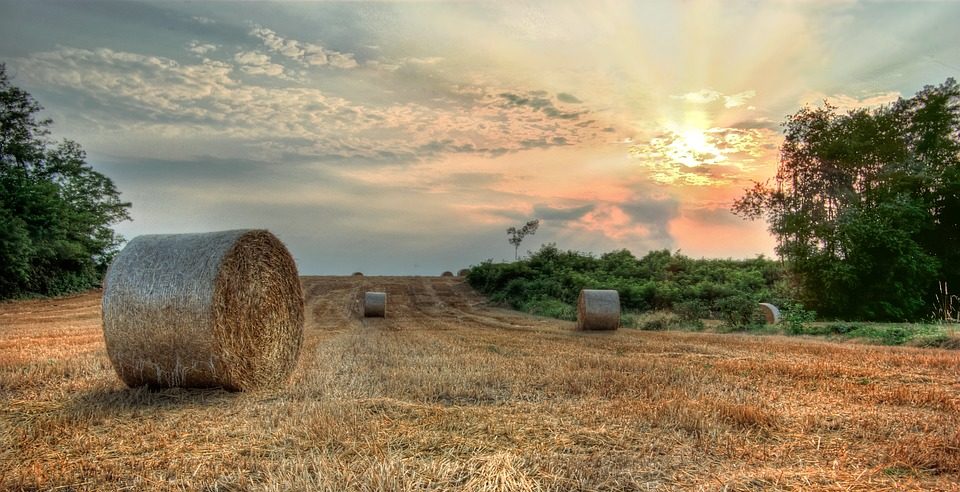 Agromek 2024 – Northern Europe's largest agricultural fair